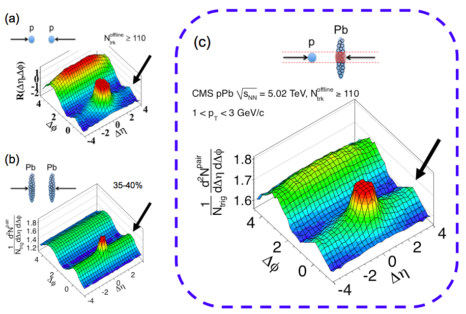 Unexplained long-range correlations observed in pPb collisions | CMS Experiment